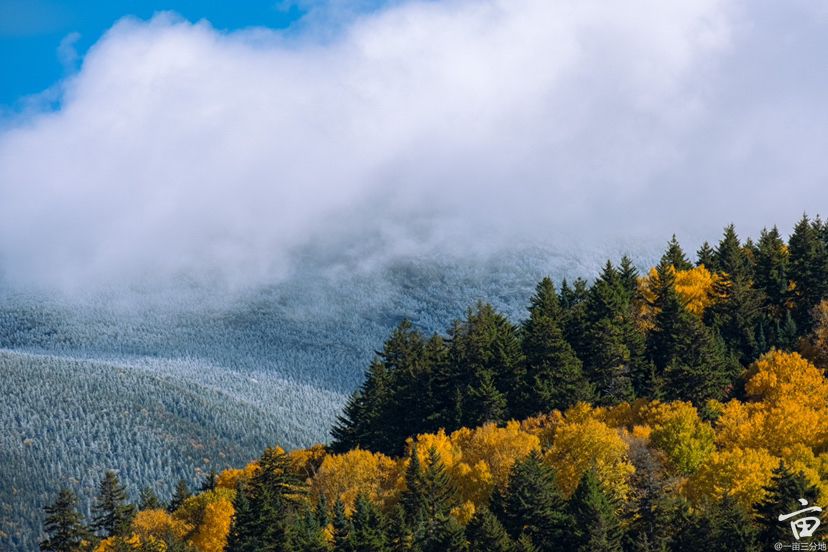 飘摇在这红色的河|露营白山国家森林公园枫叶 |一亩三分地兴趣爱好版