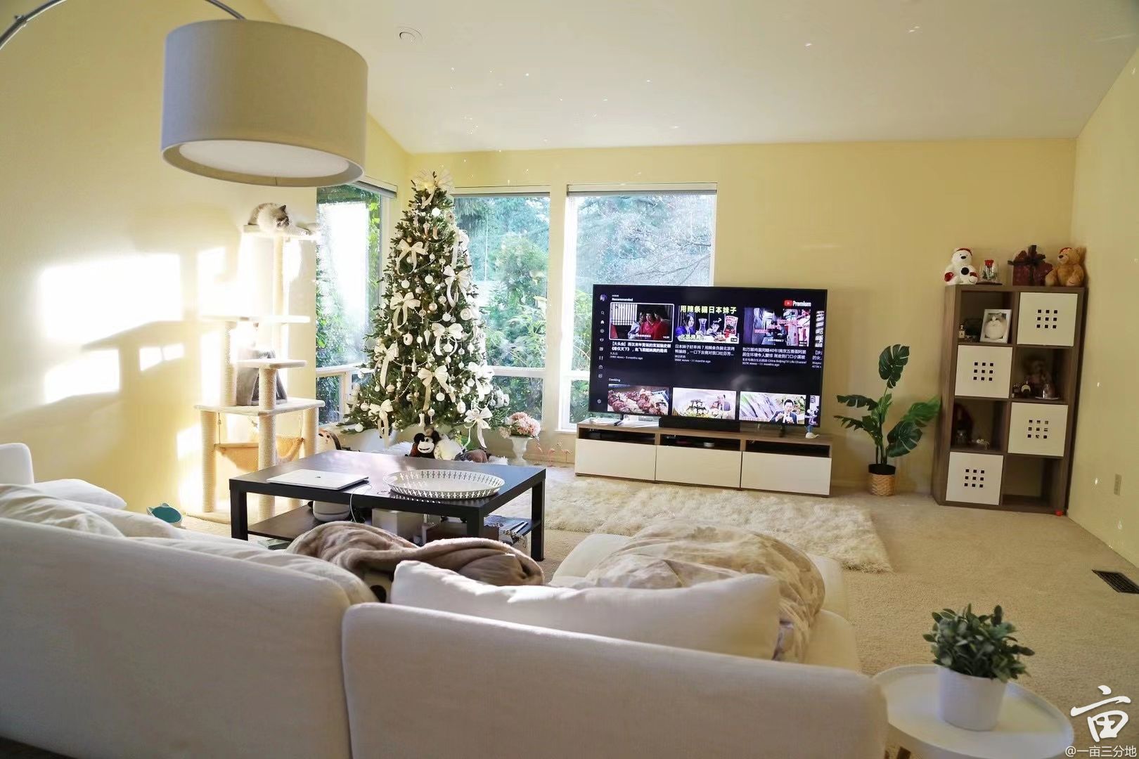 Redmond近微软meta独栋别墅次卧找室友|一亩三分地 租房广告|找室友版