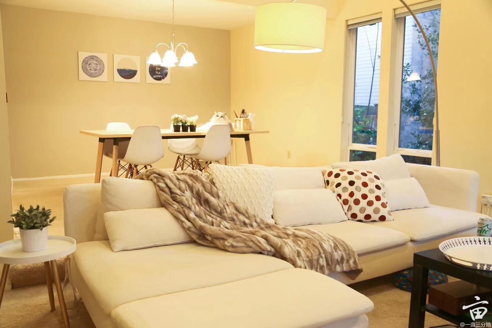 Redmond近微软meta独栋别墅次卧找室友|一亩三分地 租房广告|找室友版